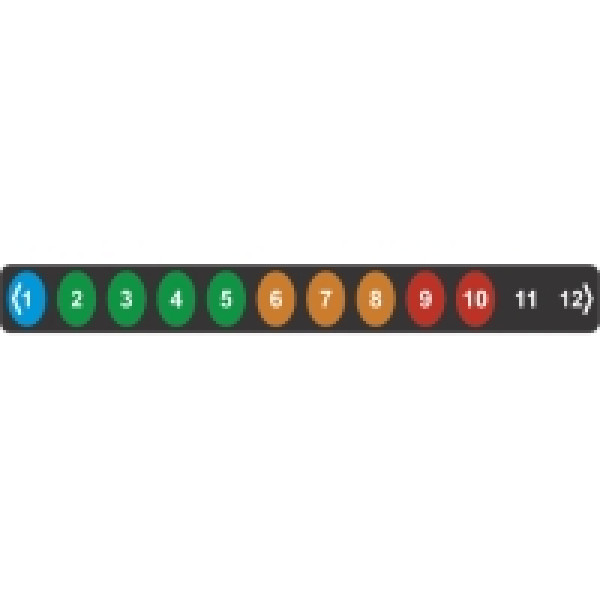 Reversible Temperature Indicating Labels - 12 Level