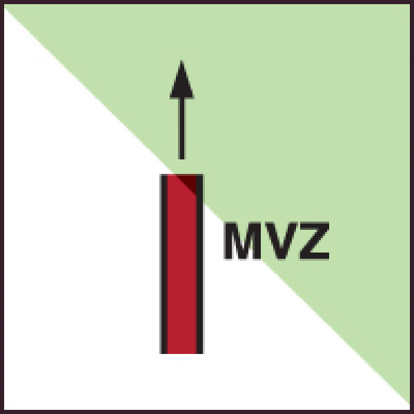 Main vertical zone - IMO