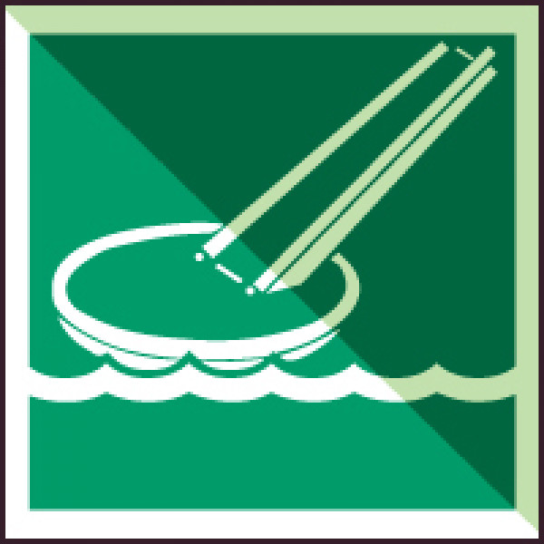 Marine evacuation slide - IMO